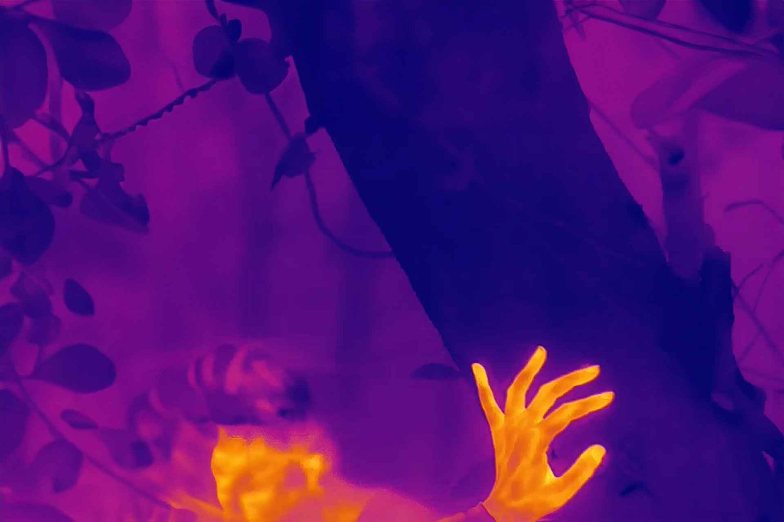 Singaporean Artist Robert Zhao And Curator Haeju Kim Are Turning The ...